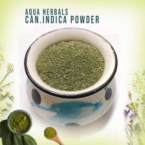 Cannabis Indica Bhang Powder – The Bhang Store